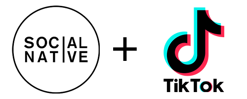 Platform for Connecting Brands with Consumer Content Creators